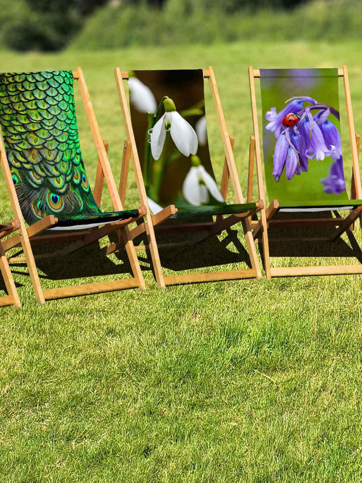 Deckchair Shop | Garden Deckchairs | Bespoke Deckchairs